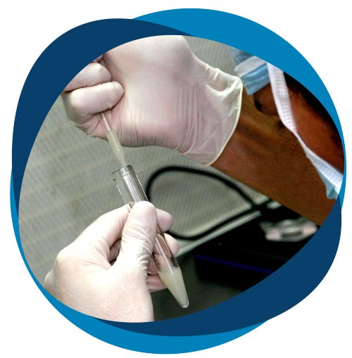 Inseminación artificial | IN VITRO Buenos Aires
