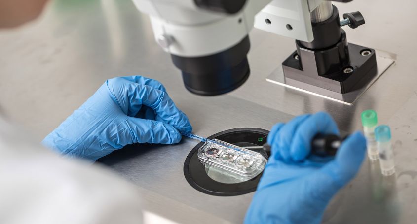 Las diferencias entre la inseminación artificial y la fecundación in ...