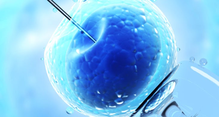 Las diferencias entre la inseminación artificial y la fecundación in ...